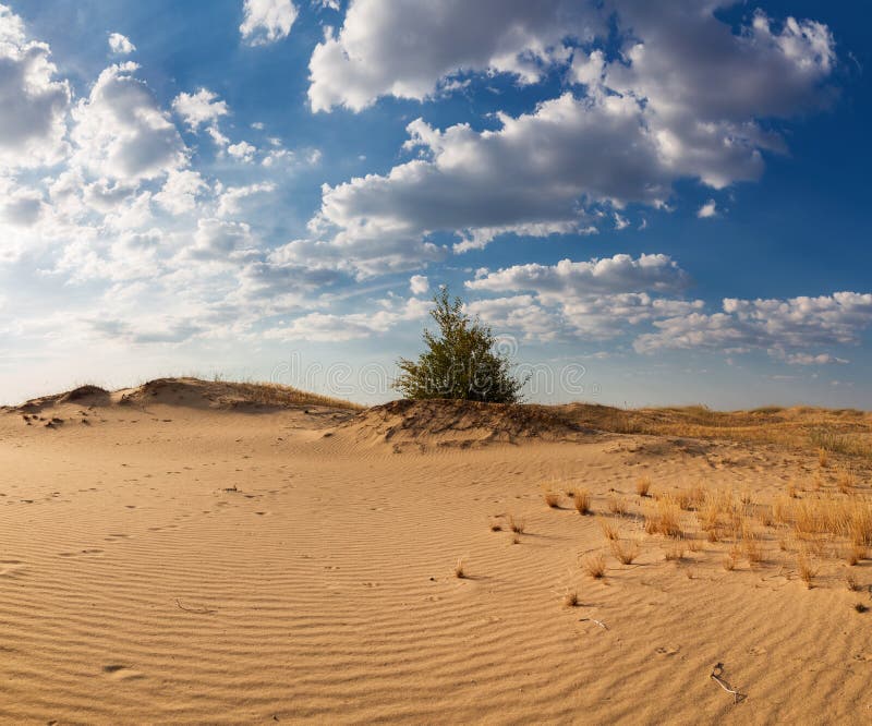 Beautiful Desert Landscape with Dunes. Walk on a Sunny Day on the Sands ...