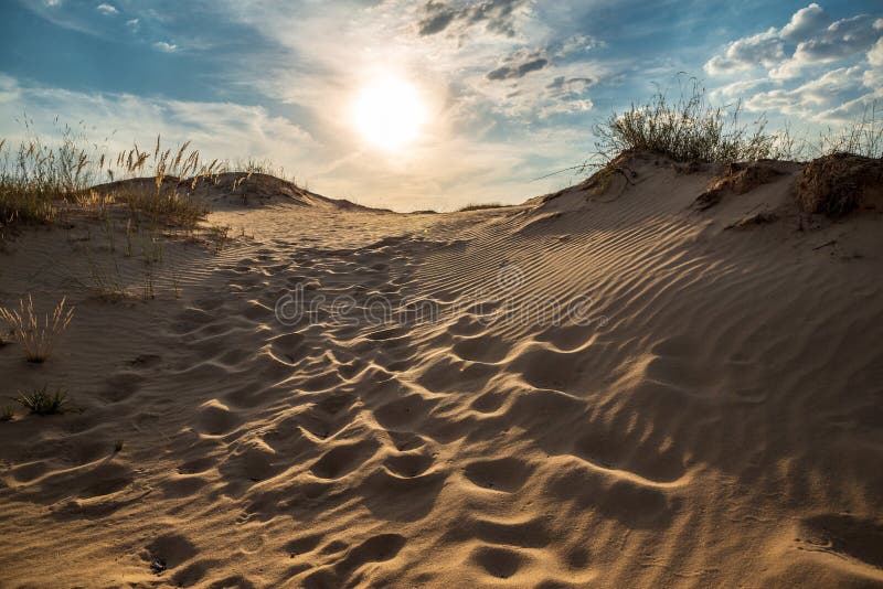 Beautiful Desert Landscape with Dunes. Walk on a Sunny Day on the Sands ...