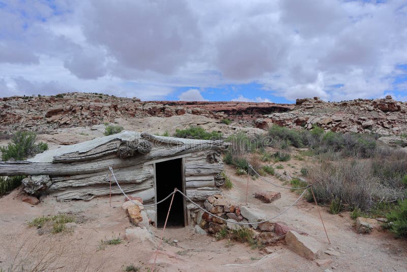 Beautiful Desert Flowers, Moab Stock Image - Image of walking, desert ...