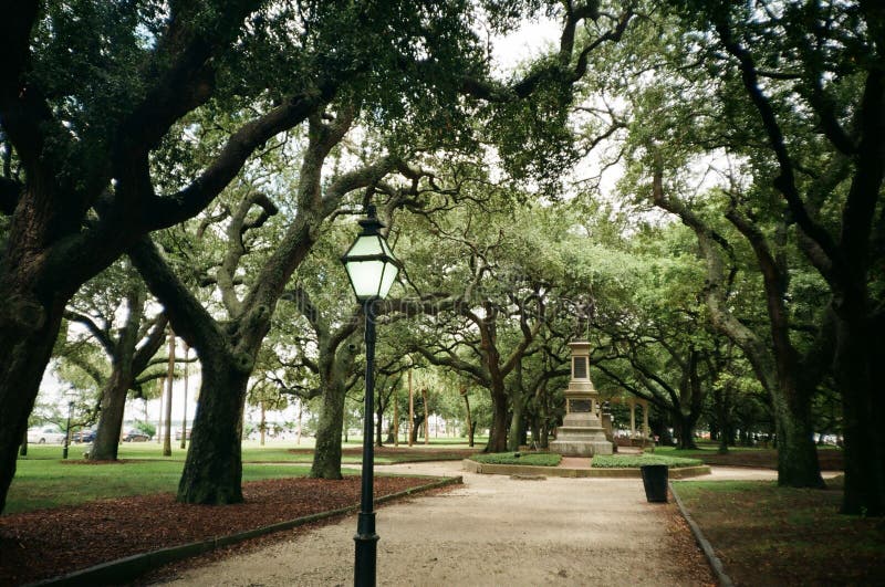 Beautiful Deserted Park during Fall Stock Image - Image of outdoor ...