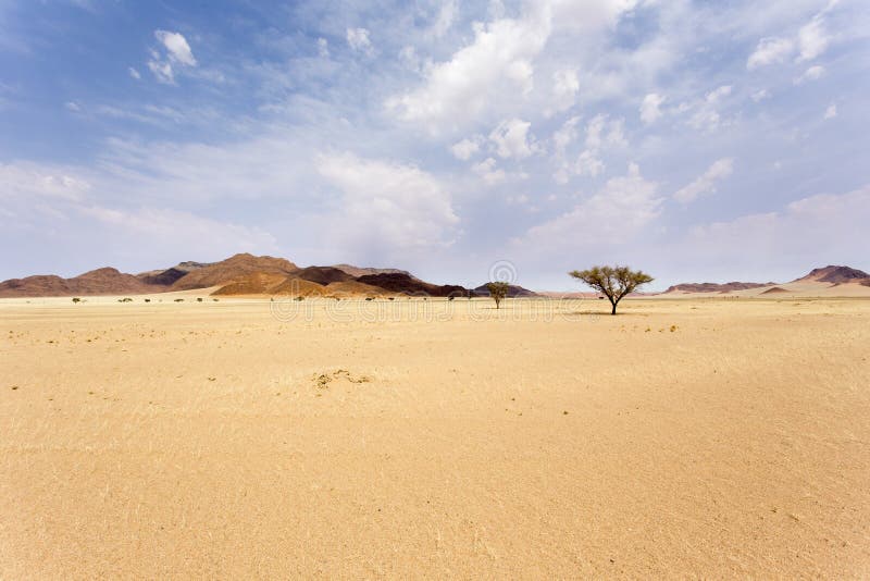 A Beautiful Desertic Landscape in Namibia Stock Image - Image of ...