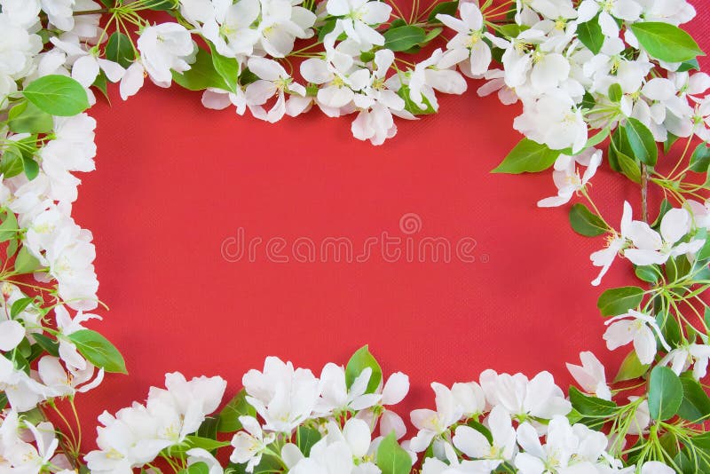 Beautiful Designer Background Stock Image - Image of backgrounds, love ...