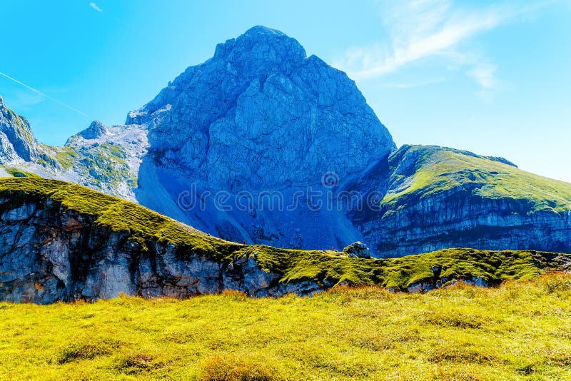 Beautiful Details of Alpine Mountain Landscape on Bright Summer Day ...