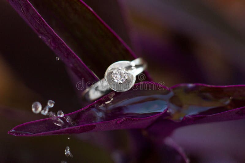 Beautiful diamond ring stock image. Image of water, diamond - 50746679