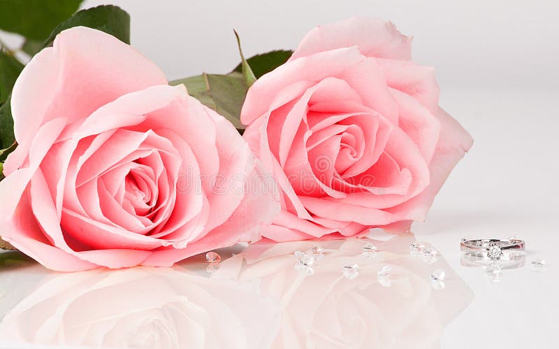 Beautiful Diamond Ring with Pink Roses Stock Photo - Image of expensive ...
