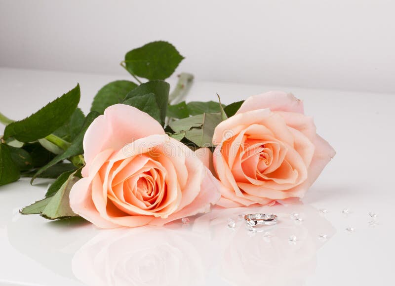 Beautiful Diamond Ring with Pink Roses Stock Photo - Image of circle ...