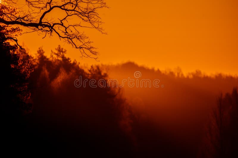 A Beautiful Diffused Light During The Spring Sunrise. Trees In Spring ...
