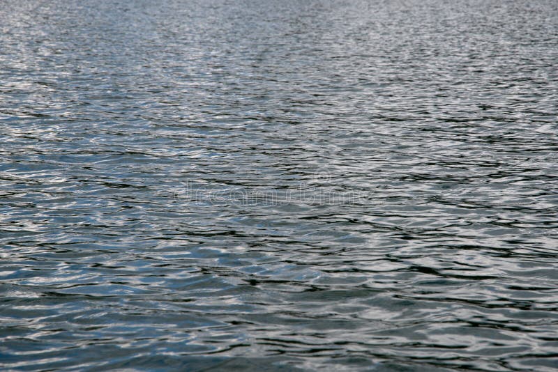 Beautiful Diffused Shimmer on a Tranquil Water Surface with Copy Space ...