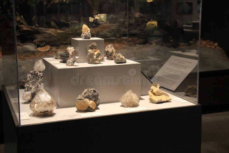 Beautiful Display of Gems and Minerals in Glass Case, State Museum ...