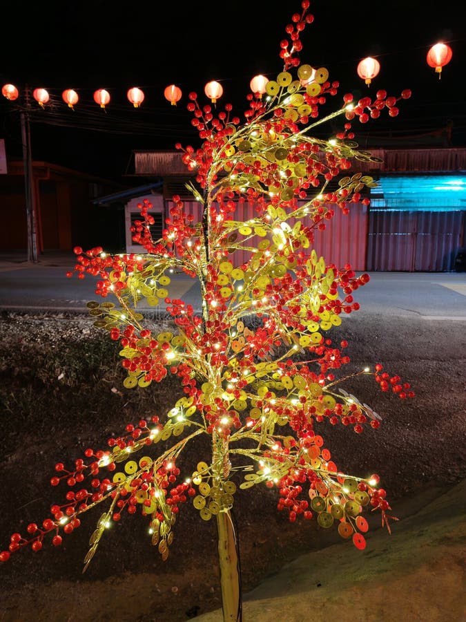 330,315 Beautiful Display Stock Photos - Free & Royalty-Free Stock ...