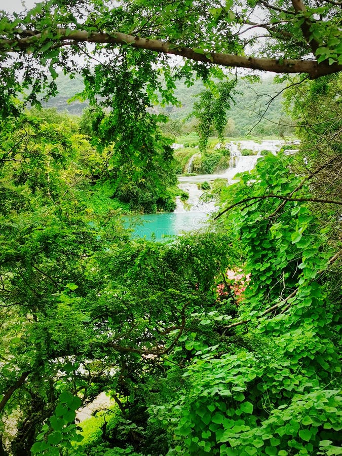 A beautiful distraction stock photo. Image of nature - 257613530