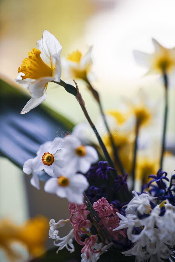Diversity Flowers stock photo. Image of white, flowers - 5694944