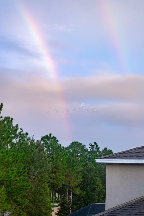 Beautiful double rainbow stock image. Image of palm - 196549751