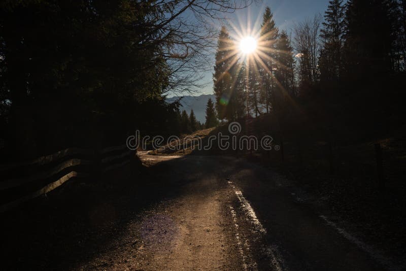 Beautiful Dramatic Empty Forest Road Path with Direct Back Light and ...