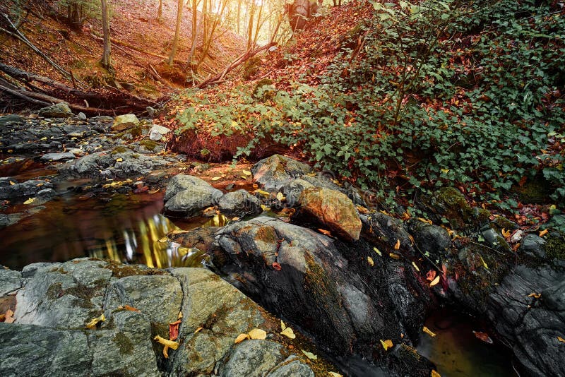 Beautiful Dramatic Forest Landscape with Rocks and Water Springs Stock ...
