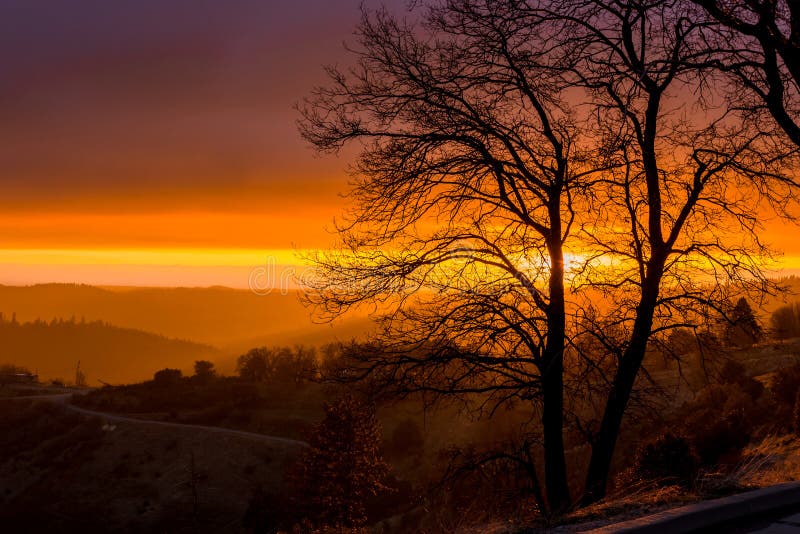 Beautiful Dramatic Sky at Sunset. Silhouetted Tree on the Foreground ...
