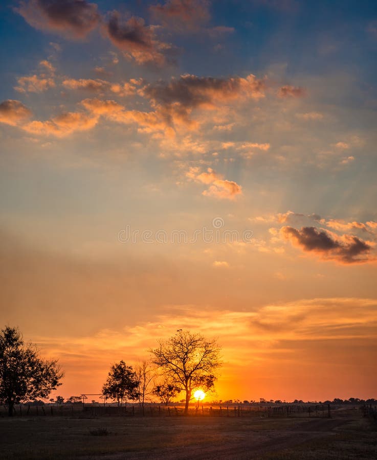 Beautiful and Dramatic Sunset on the Plain Stock Photo - Image of ...