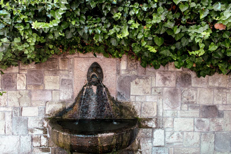 Beautiful Drinking Water Fountain in Summer. Algae in Water Stock Image ...