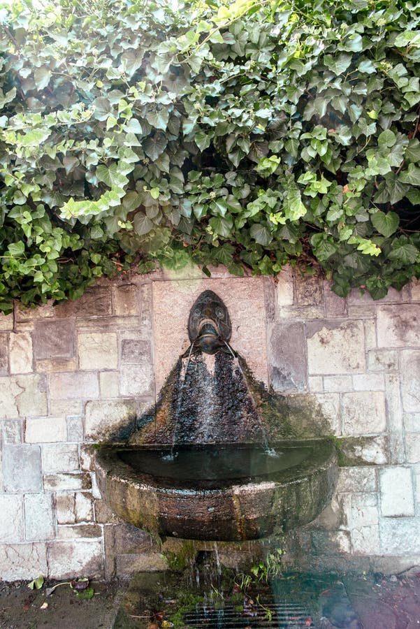 Beautiful Drinking Water Fountain in Summer. Algae in Water Stock Image ...