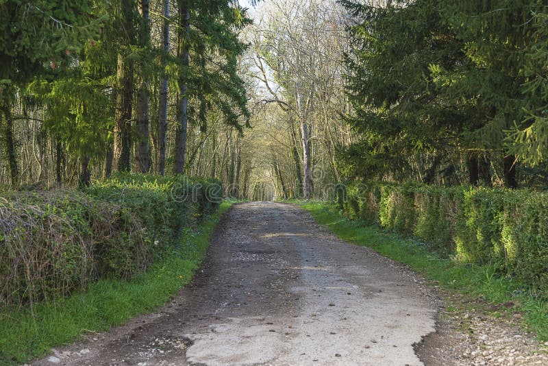 Beautiful Driveway Leading To a Yellow Stock Photo - Image of travel ...