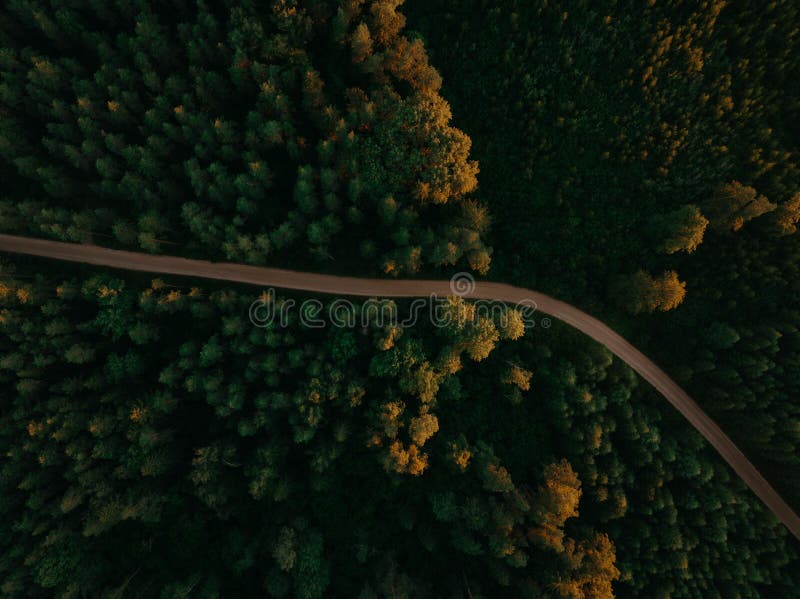 Beautiful Drone View of a Forest and a Long Highway through it Stock ...