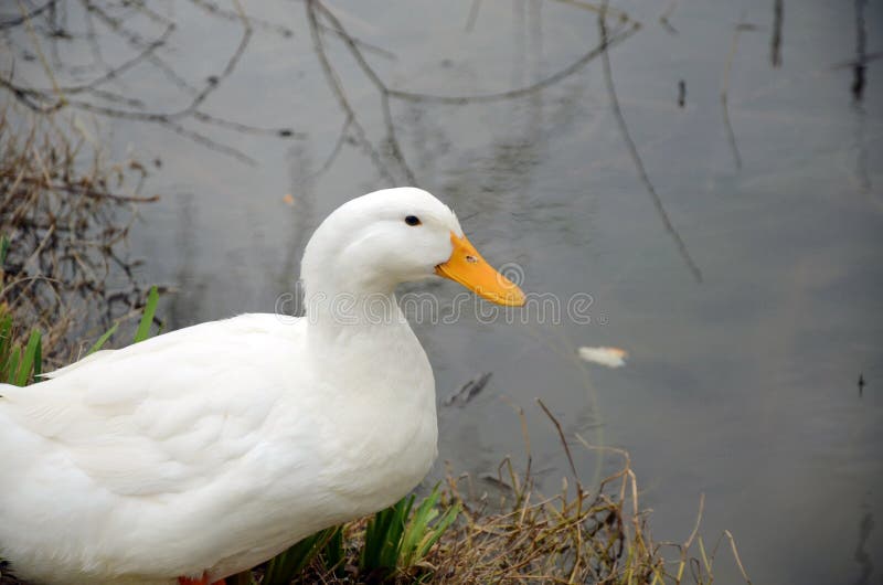 emp.rar (Emp.rar) - Photographer profile