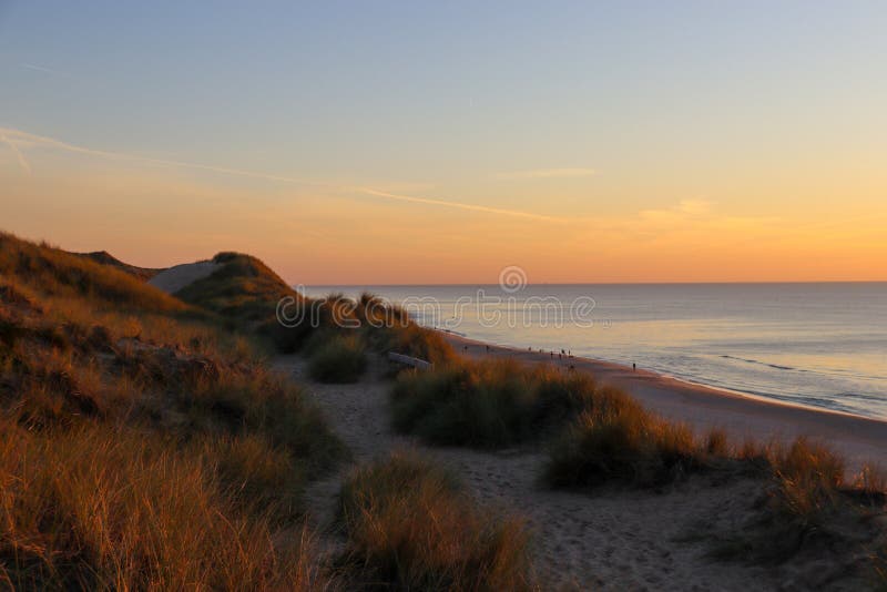 Beautiful Dune Landscape in the Evening on Sylt Stock Image - Image of ...