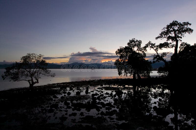 Beautiful Dusk stock image. Image of sunset, night, trees - 43039601