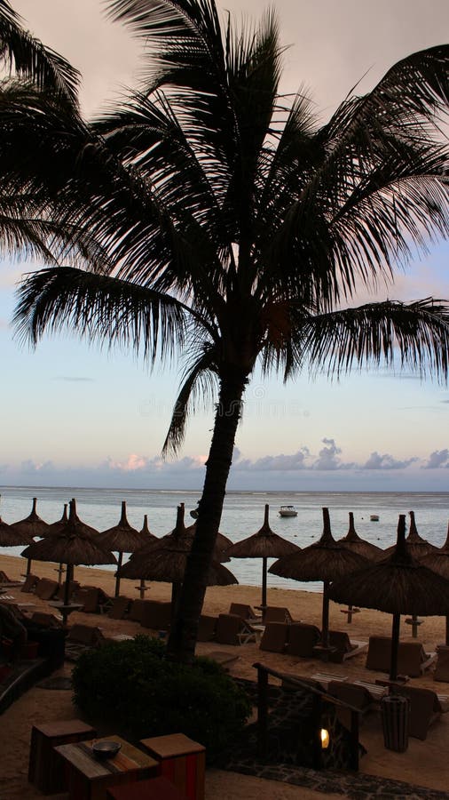 Beautiful Dusk View with Palm Trees and Thatched Huts Mauritius. Stock ...
