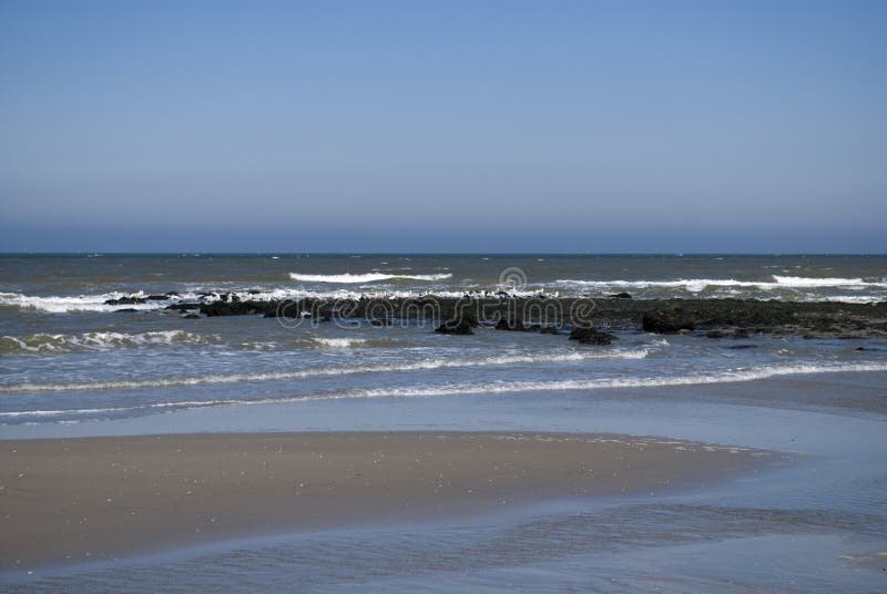 Beautiful Dutch Beach in Summer Time Stock Photo - Image of heat, beach ...