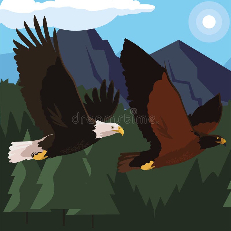 Beautiful Eagles Flying in the Landscape Stock Illustration ...