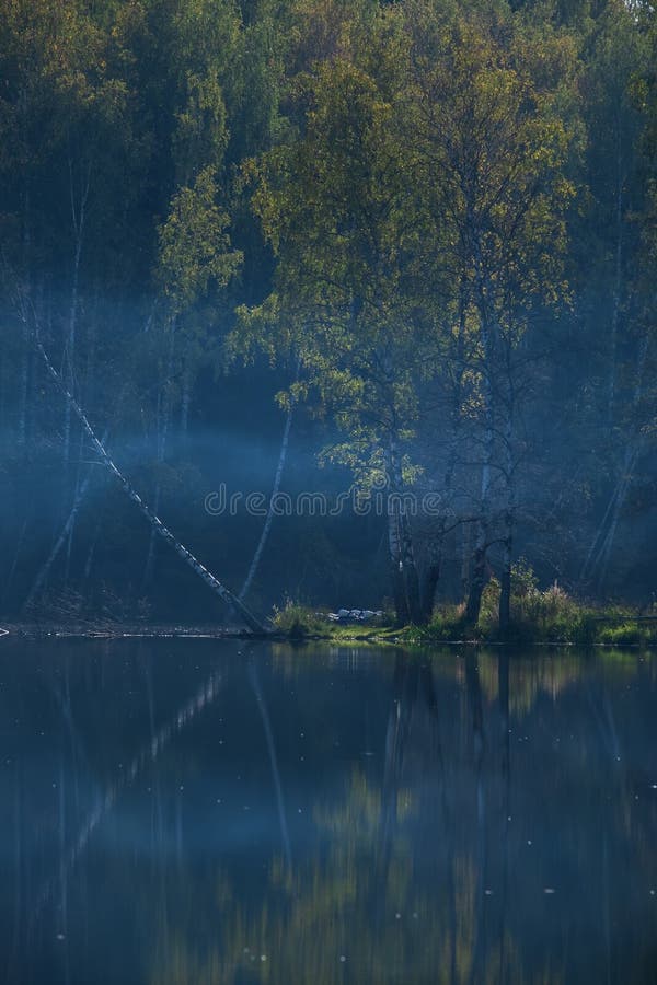 Early Morning on a Lake in a Forest Stock Image - Image of mist, dawn ...