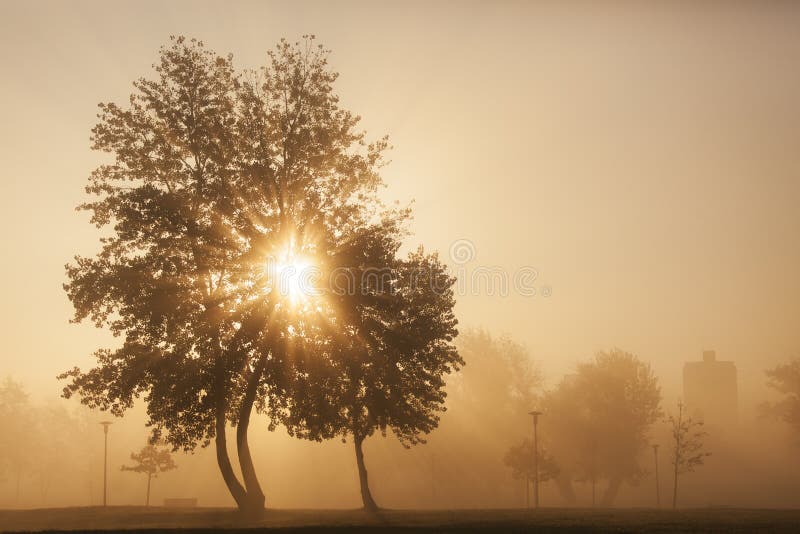 A beautiful early morning stock photo. Image of light - 36035708