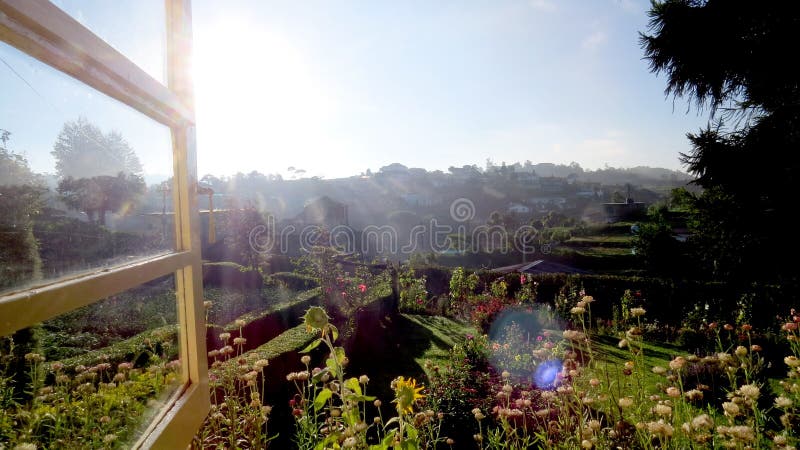 Beautiful Early Morning Sunlight Stock Photo - Image of landscape ...