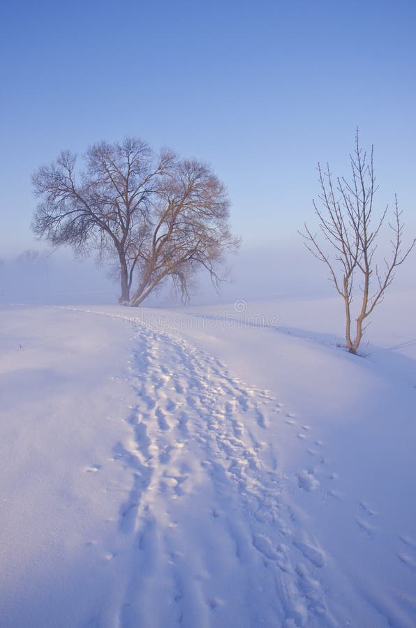 Beautiful Early Morning Winter Landscape Stock Photo - Image of ...