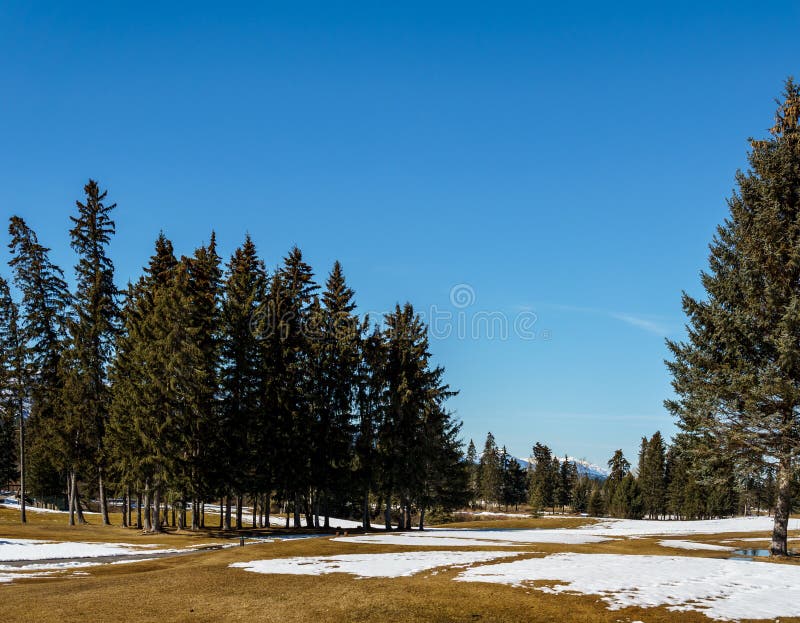 Beautiful Early Spring View of the Canadian Alpine Meadow with Blue Sky ...