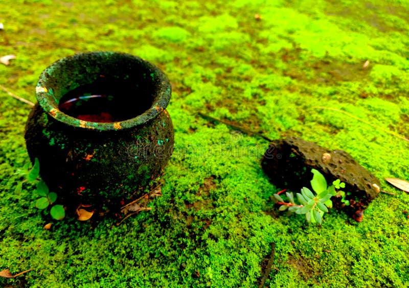 A Clay Water Pot Earthen Pot with Tap for Water Storage Clay Pots Not ...