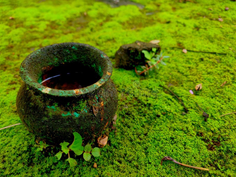 Beautiful Earthen Pot with Half Full or Half Empty Water with Stone on ...
