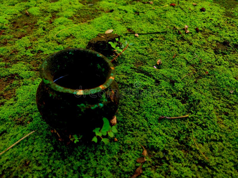 A Clay Water Pot Earthen Pot with Tap for Water Storage Clay Pots Not ...