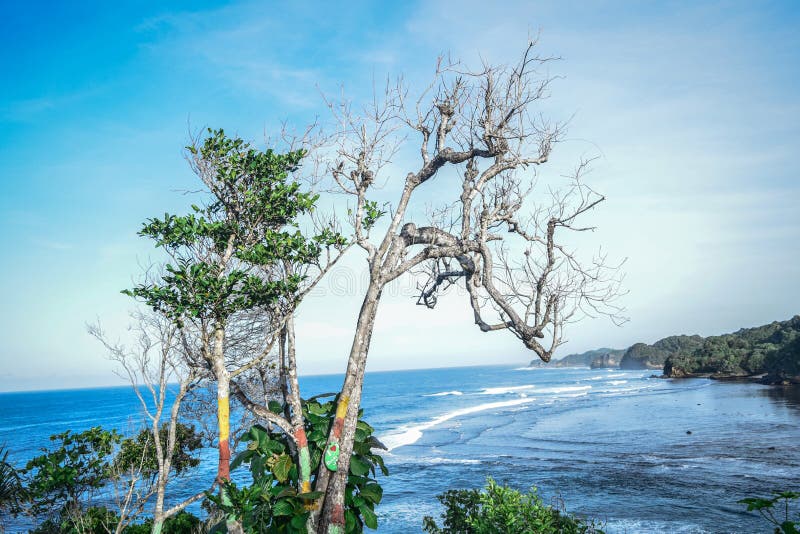 Beautiful East Beach Java in Malang City Stock Image - Image of beach ...