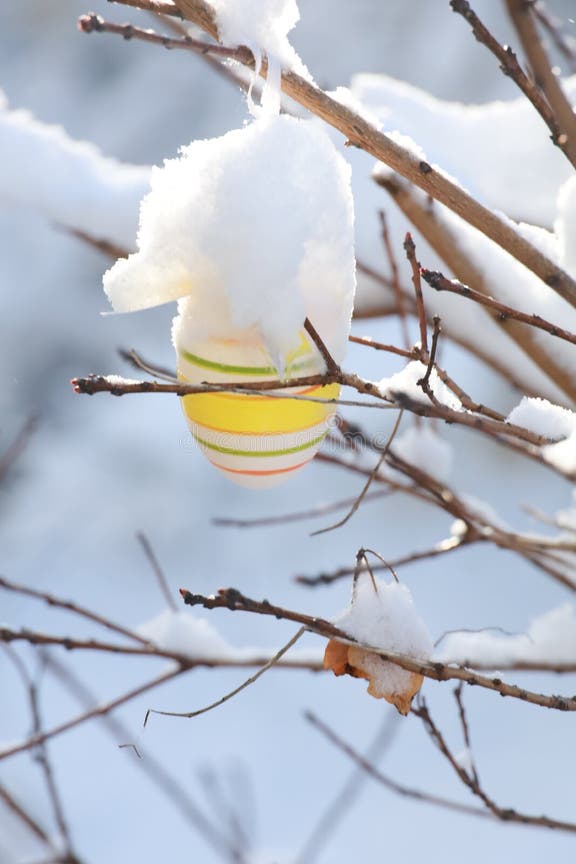 Beautiful Easter Eggs on a Tree Branch Outdoors Stock Image - Image of ...