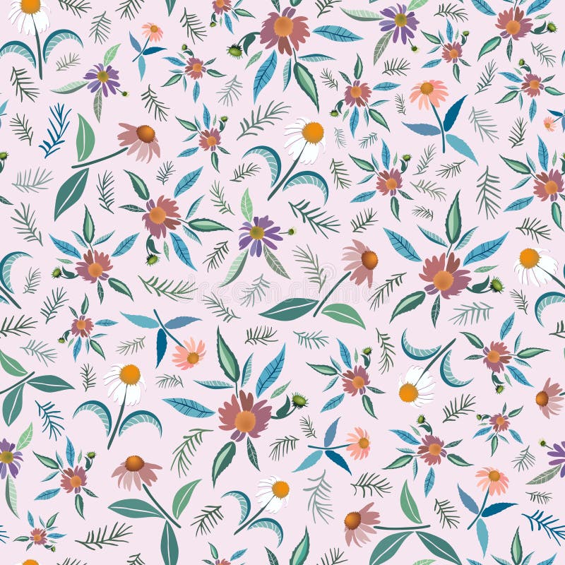 Beautiful Echinacea Coneflower Herbal Medicine Concept Seamless Surface ...