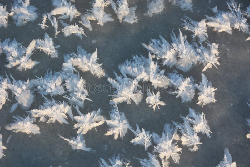 Beautiful Effect - Snow Stars on Ice. a Pattern that Forms only in ...