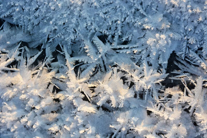 Beautiful Effect - Snow Stars on Ice. a Pattern that Forms only in ...