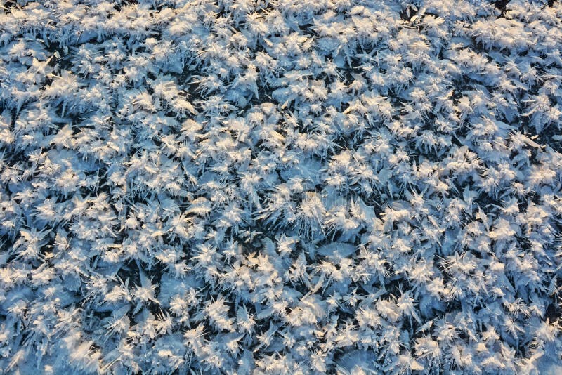Beautiful Effect - Snow Stars on Ice. a Pattern that Forms only in ...