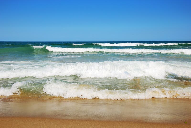 Beautiful empty beach stock photo. Image of ocean, green - 5952056