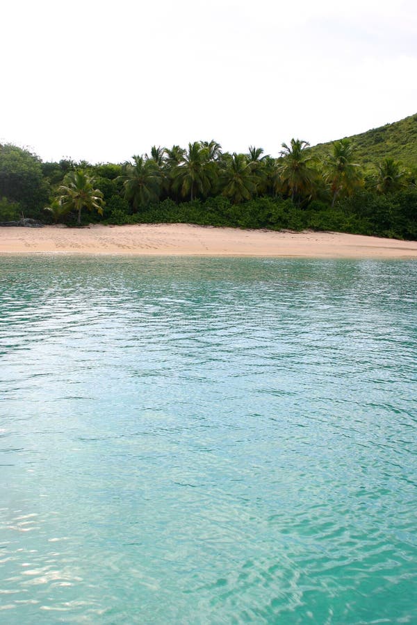 Beautiful Empty Beach stock photo. Image of palms, tropical - 6606564