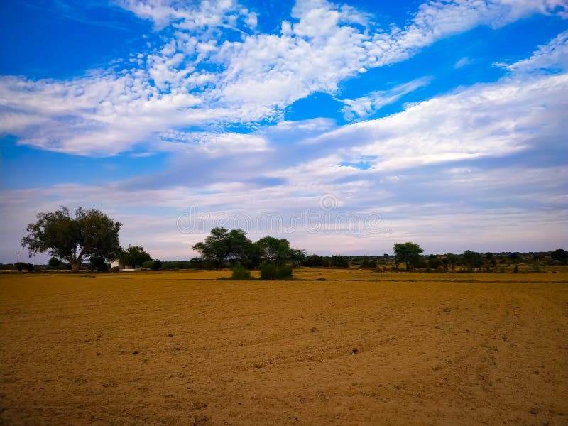 Beautiful Empty Field with Trees on Backdrop Blue Sky Stock Photo ...