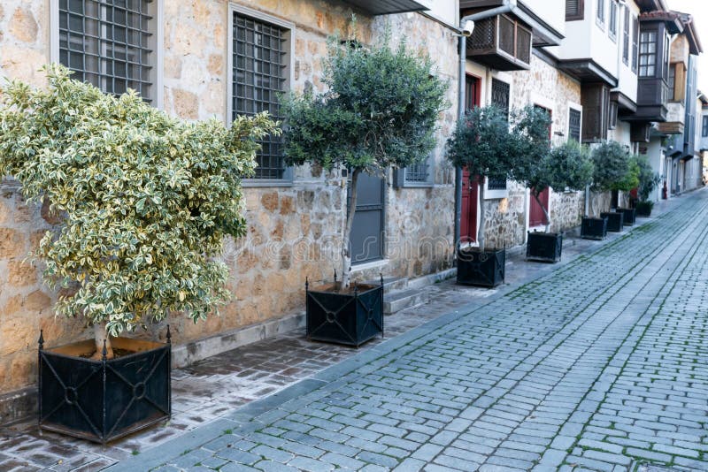Beautiful Empty Street with Beautiful Trees in Pots. Stock Photo ...