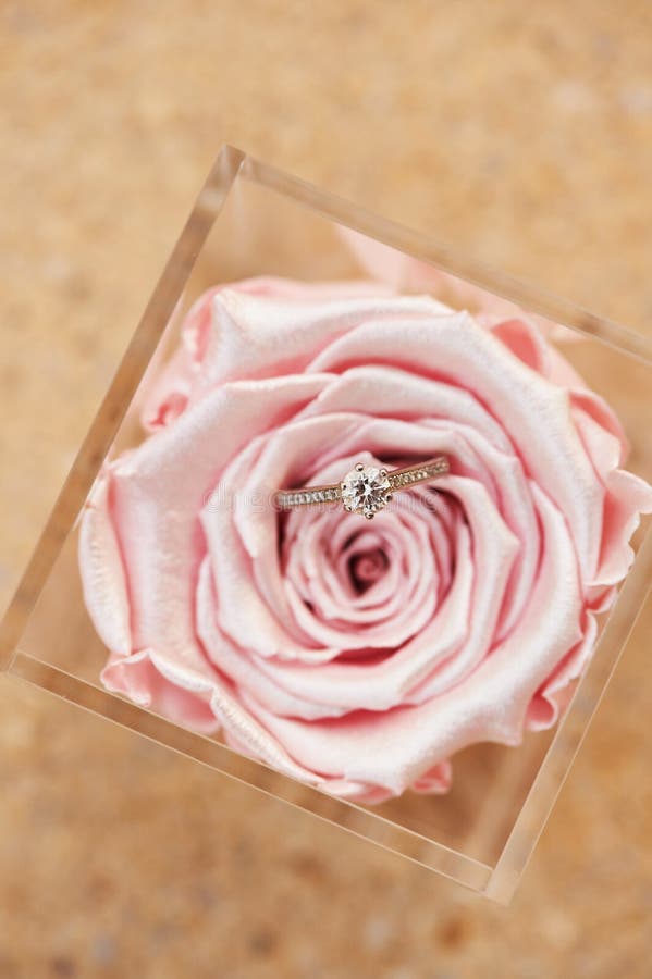Beautiful Engagement Ring Posed Inside of Pink Rose Stock Image - Image ...